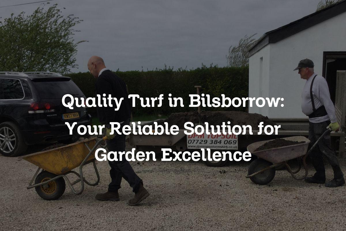 Quality Turf in Bilsborrow: Your Reliable Solution for Garden Excellence